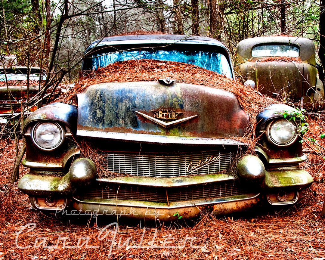 Photograph of a 1956 Cadillac Rusty Car in Woods - Etsy