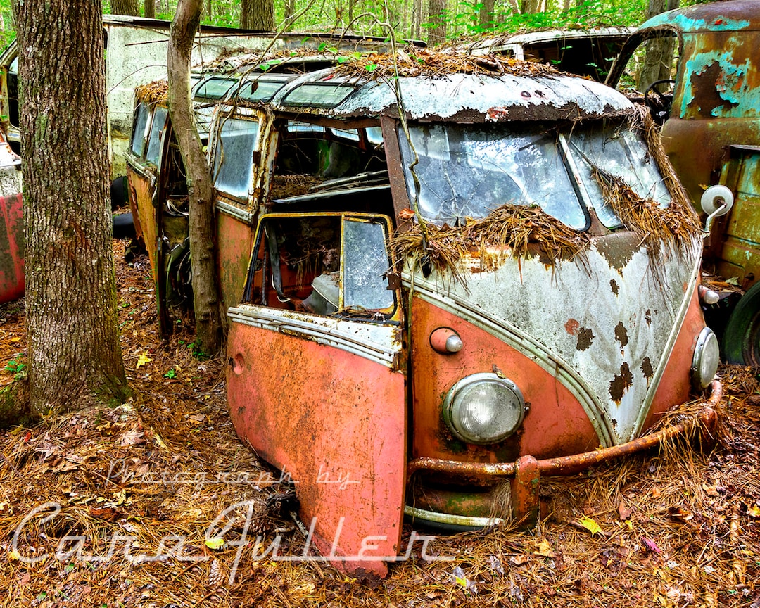 Photograph of the 23 Window VW Bus in the Woods - Etsy