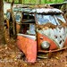 Photograph of a Red VW Bug Among Trees - Etsy