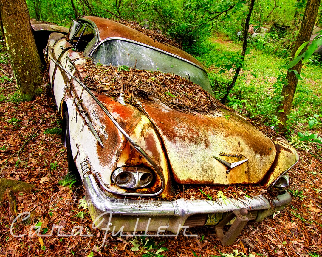 Photograph of a Rusty White 1958 Chevy in the Woods - Etsy