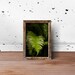 Fern Flow Print Nature Photography Canvas Wall Art Close-up Details ...