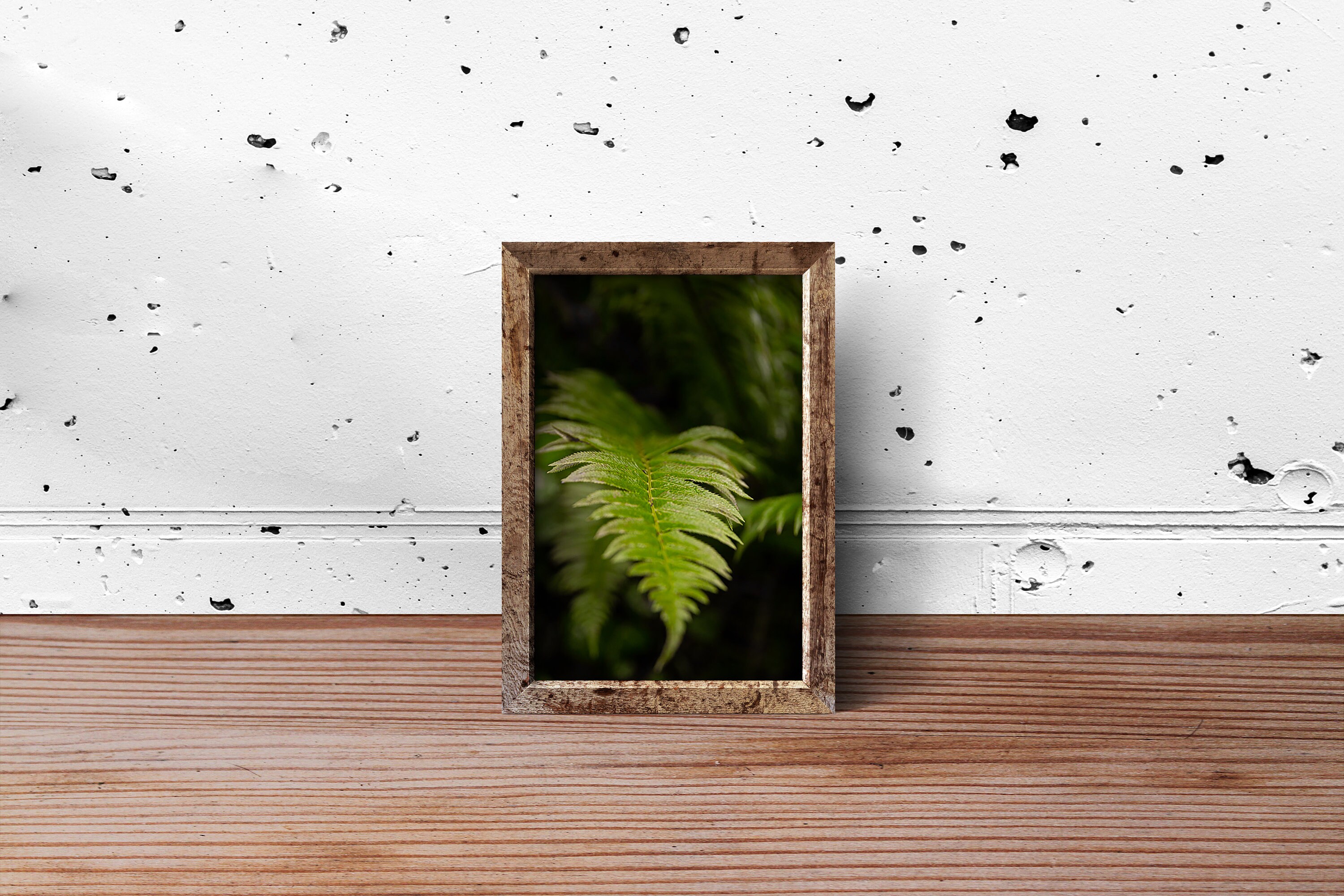 Fern Flow Print Nature Photography Canvas Wall Art Close-up Details ...
