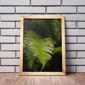 Fern Flow Print Nature Photography Canvas Wall Art Close-up Details ...