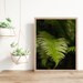 Fern Flow Print Nature Photography Canvas Wall Art Close-up Details ...