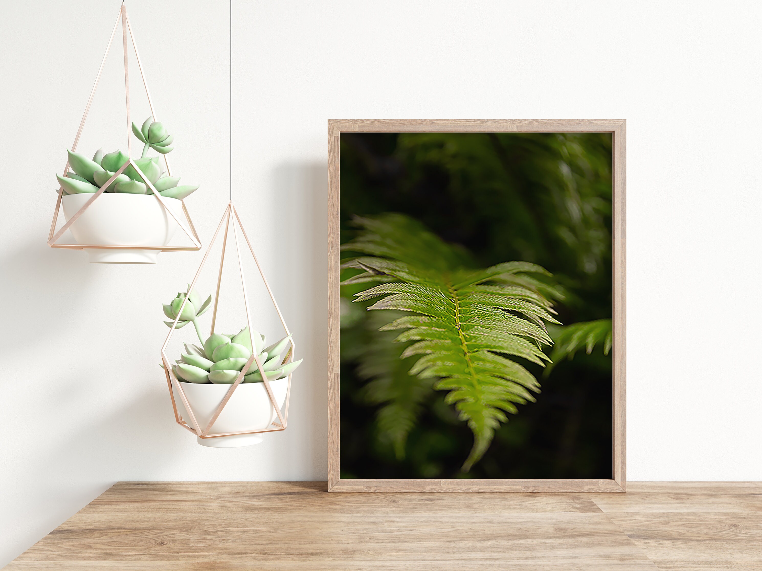 Fern Flow Print Nature Photography Canvas Wall Art Close-up Details ...