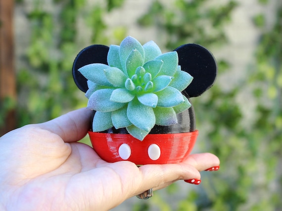 Mouse Planter 3D Printed Succulent Indoor Plant Pot - Etsy