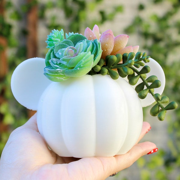 Mickey Mouse Planter - Etsy