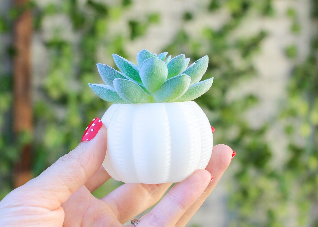 Pumpkin 3D Printed Succulent Planter Indoor Plant Pot - Etsy