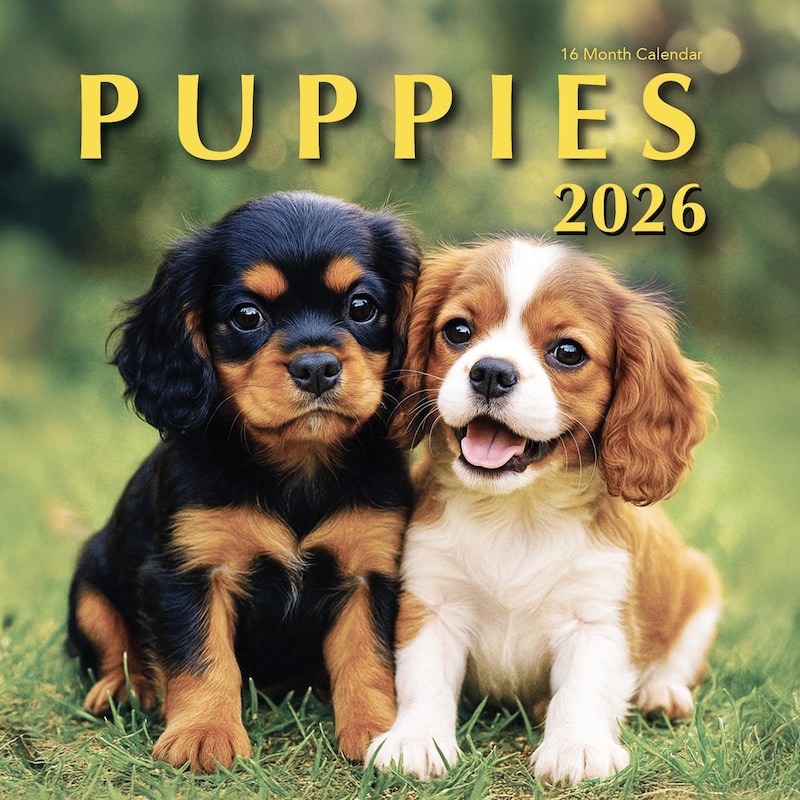 2026 Dog Calendars - Etsy