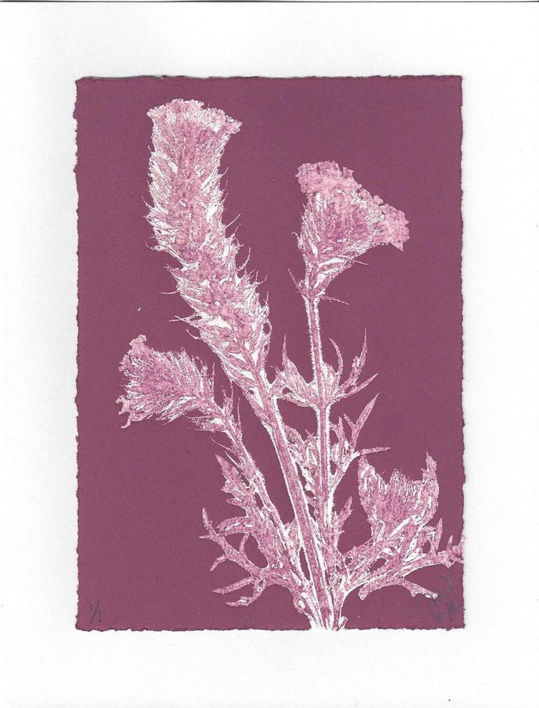 Monoprint Art Card Prairie Flower No.3 - Etsy