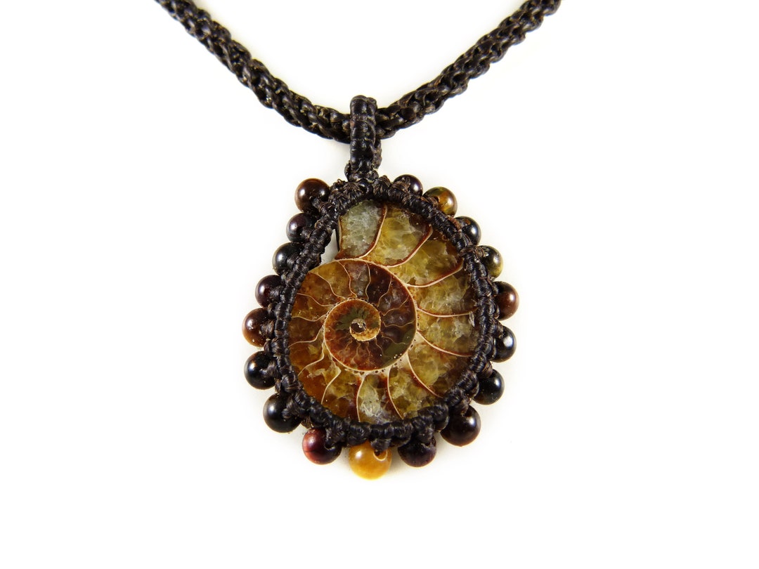 Ammonite Fossil Pendant Necklace With Tigers Eye Beads - Thailand ...