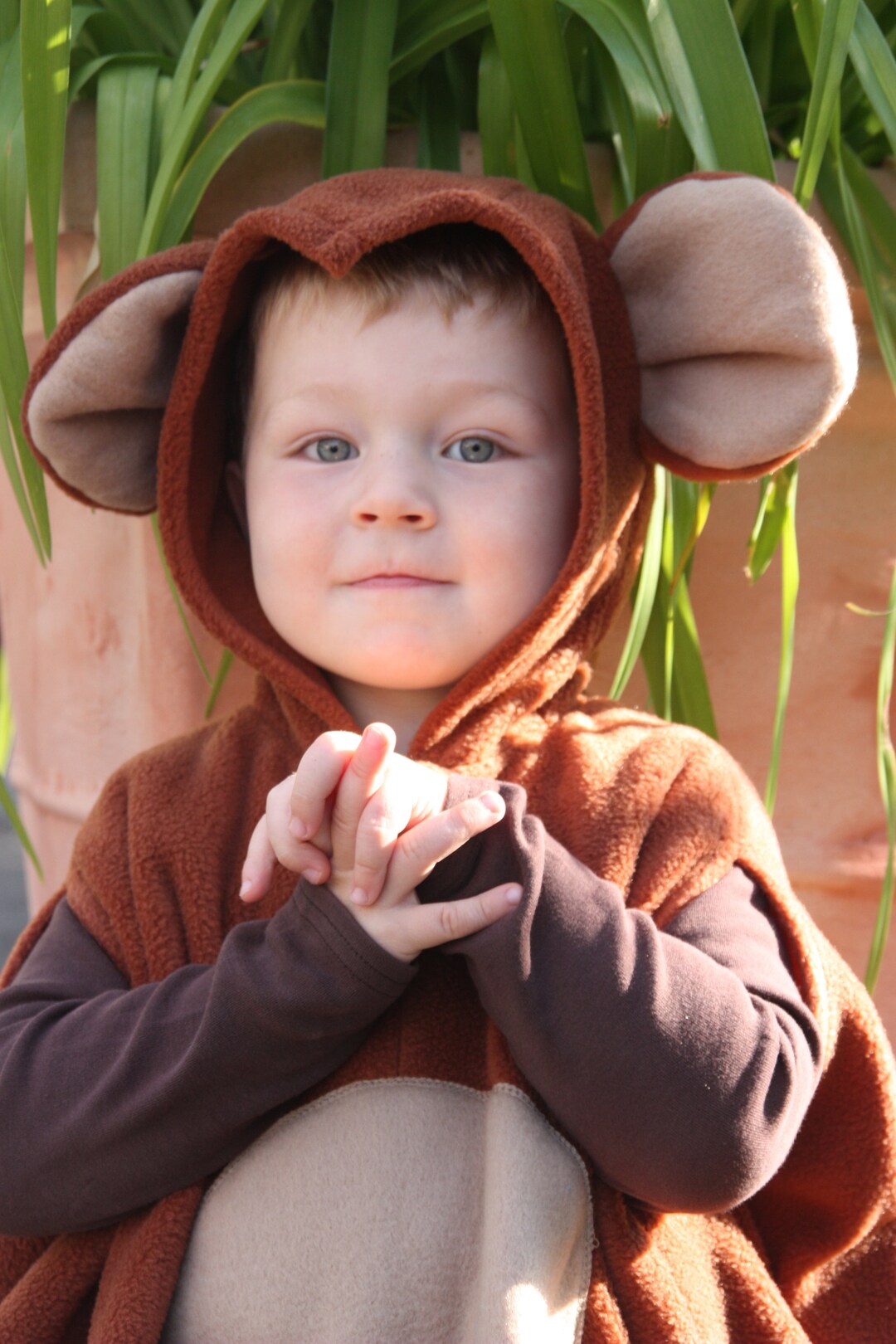 Monkey Costume Halloween Carnival Cape for Toddlers - Etsy