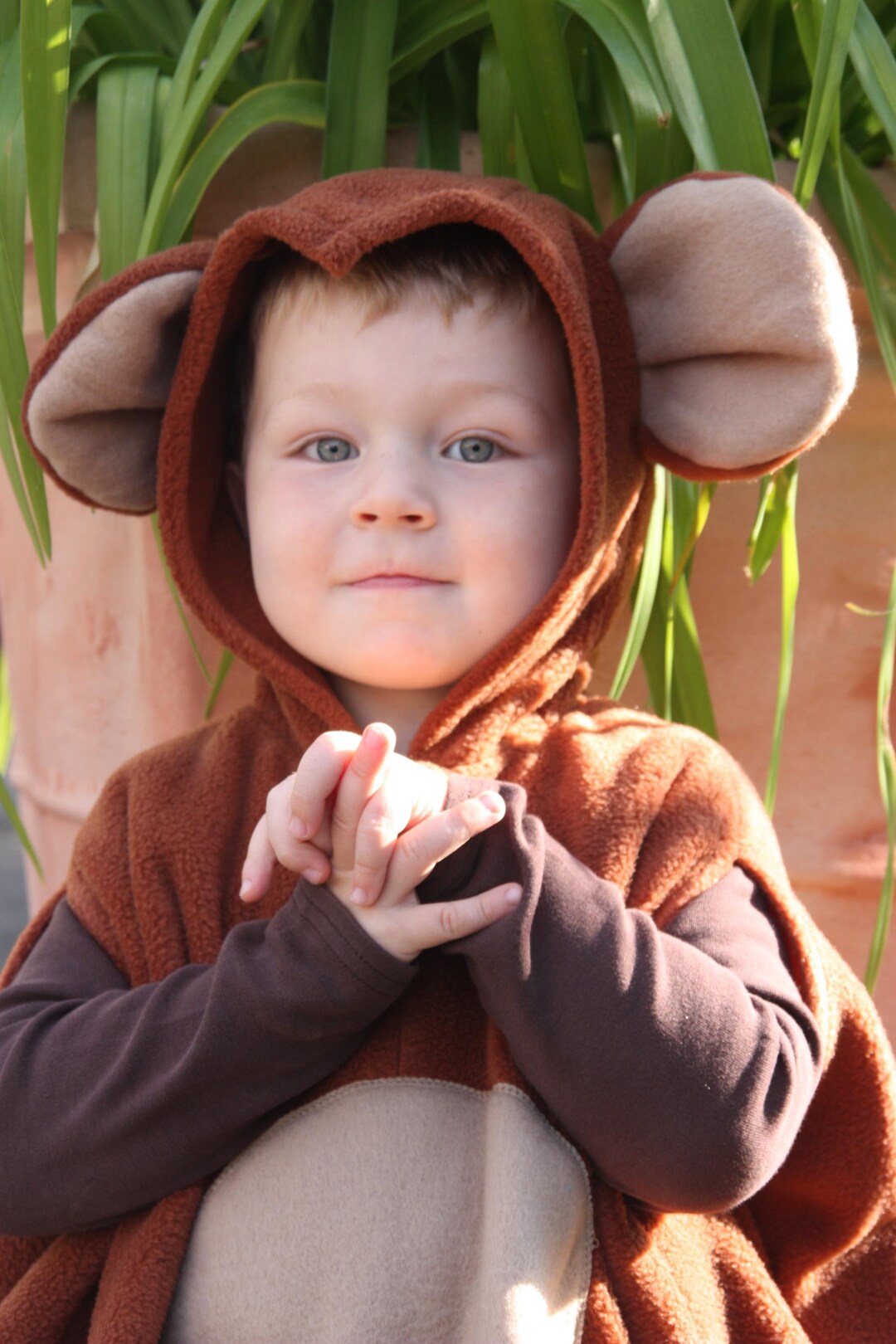 Monkey Halloween Carnival Costume Cape for Toddlers - Etsy