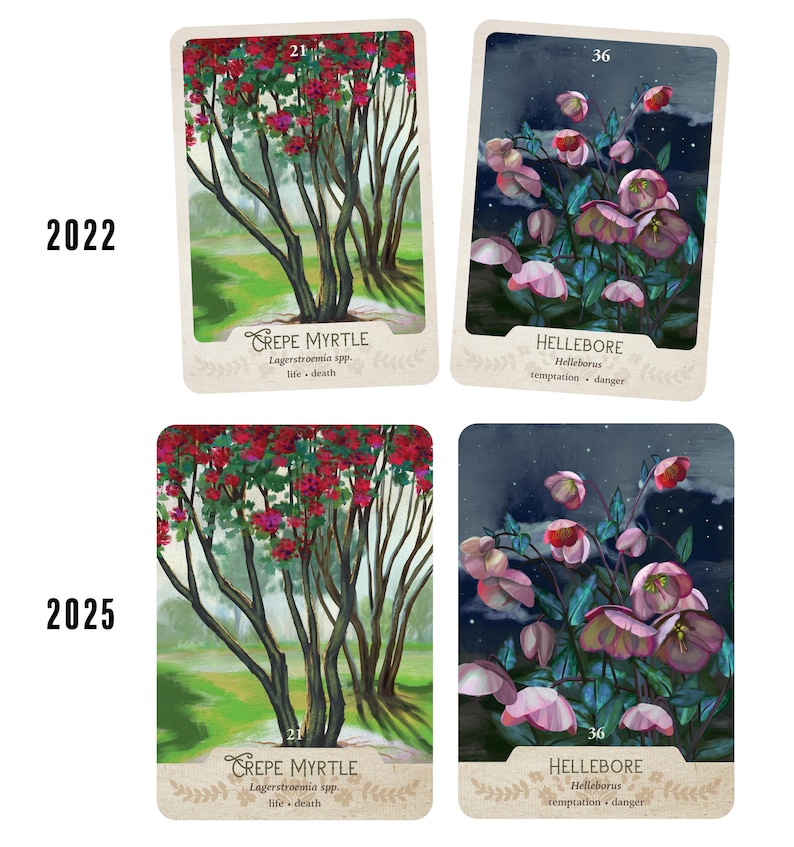 The *NEW* Southern Botanic Oracle - Gift Oracle Deck for Plant Lovers ...