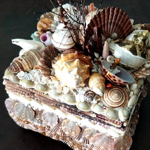Handmade Sea Shell Box: Coastal Decor, Pill Box Gift - Etsy