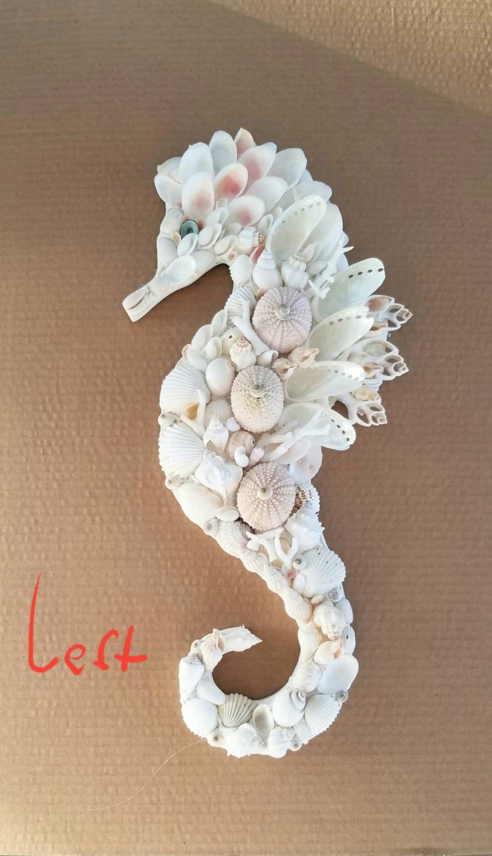 Seashell Seahorse Shell Seahorse Seahorse Shell Art Beach | Etsy