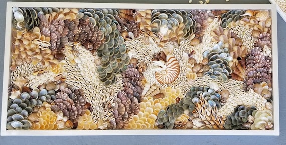 Mosaic Sea Shell Pattern
