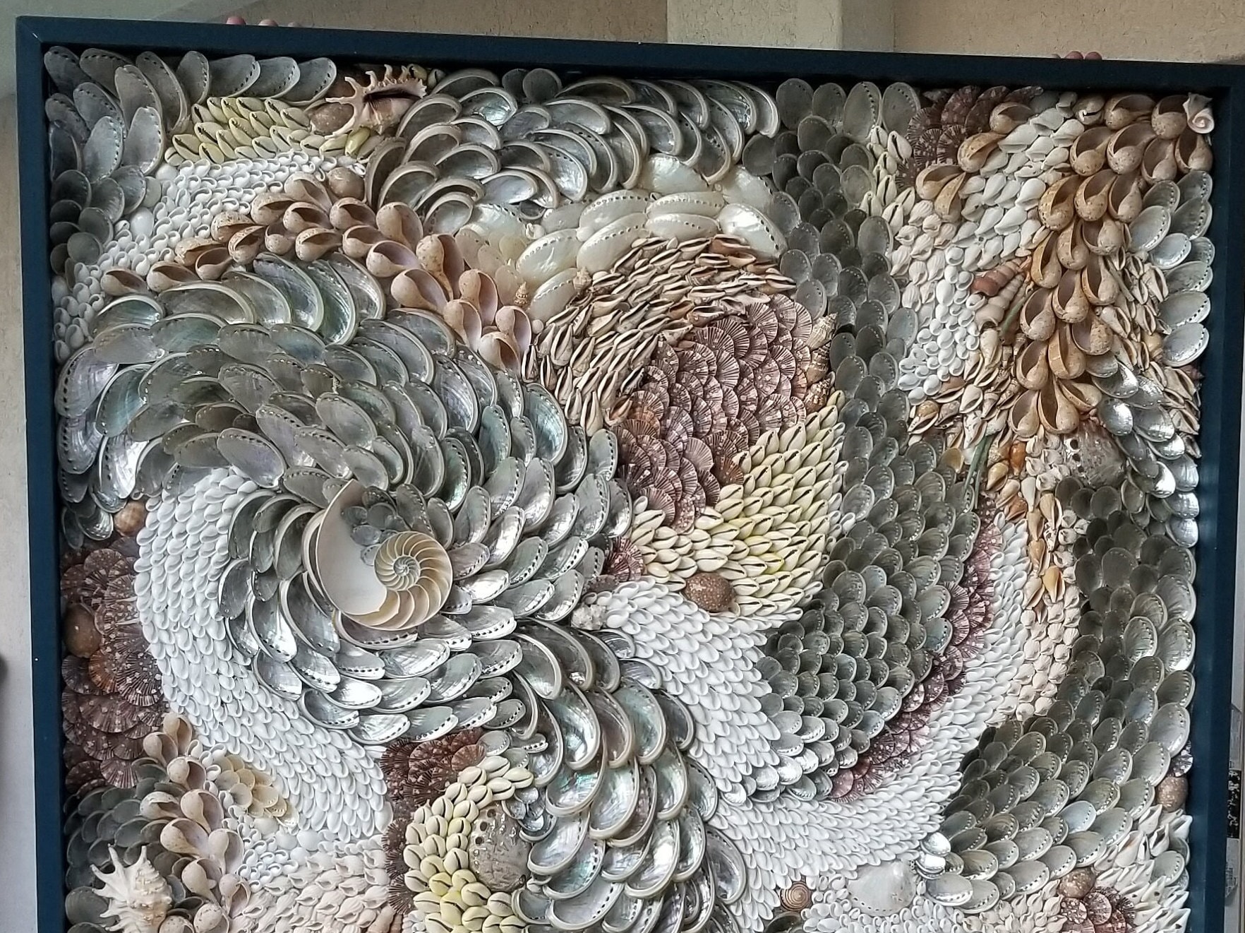 Seashell Mosaics