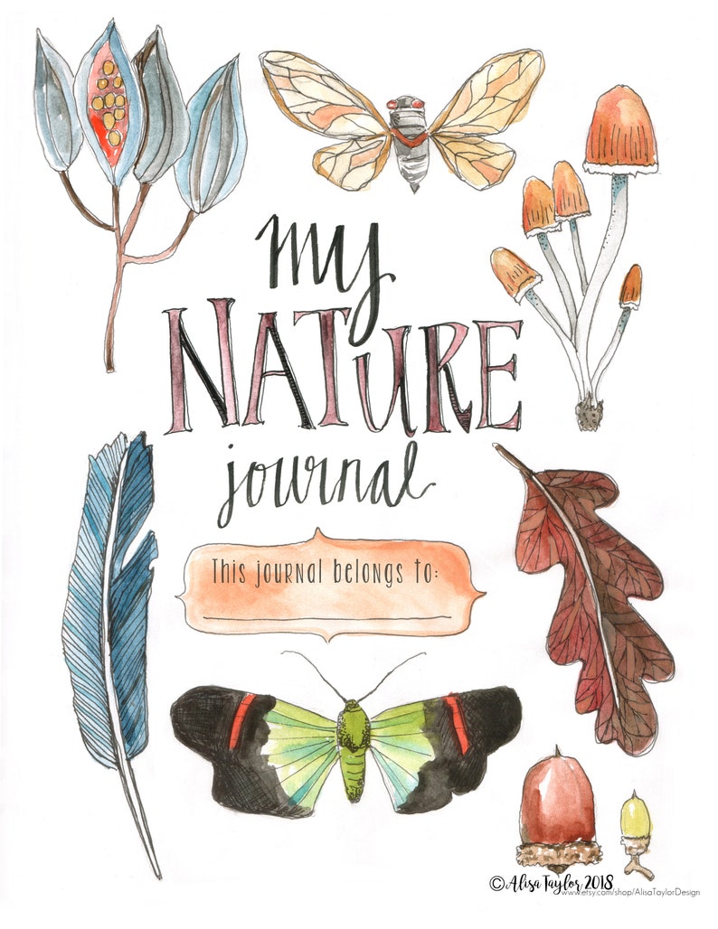 Kids Nature Journal: Printable Cover Art (digital Download) - Etsy