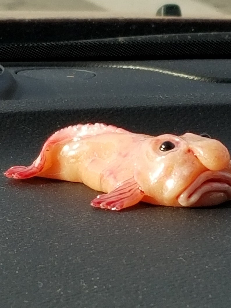 Blob-fish Blob Fish OOAK Polymer Clay Hand Sculptured | Etsy