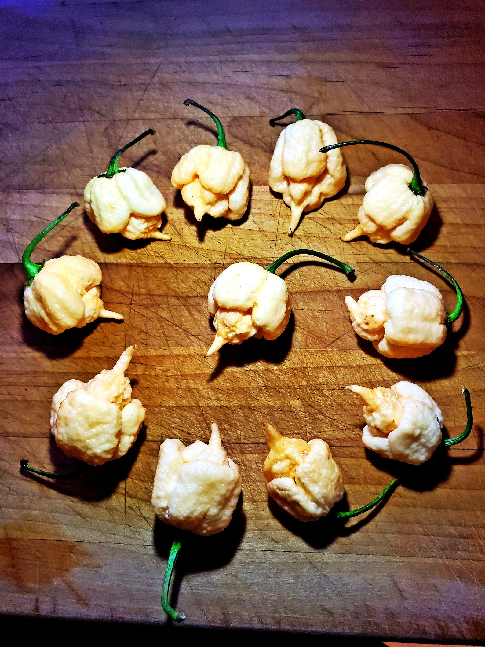 Freshly Pickled Super Hot Peppers- 2 Ingredients Only- This is the ...