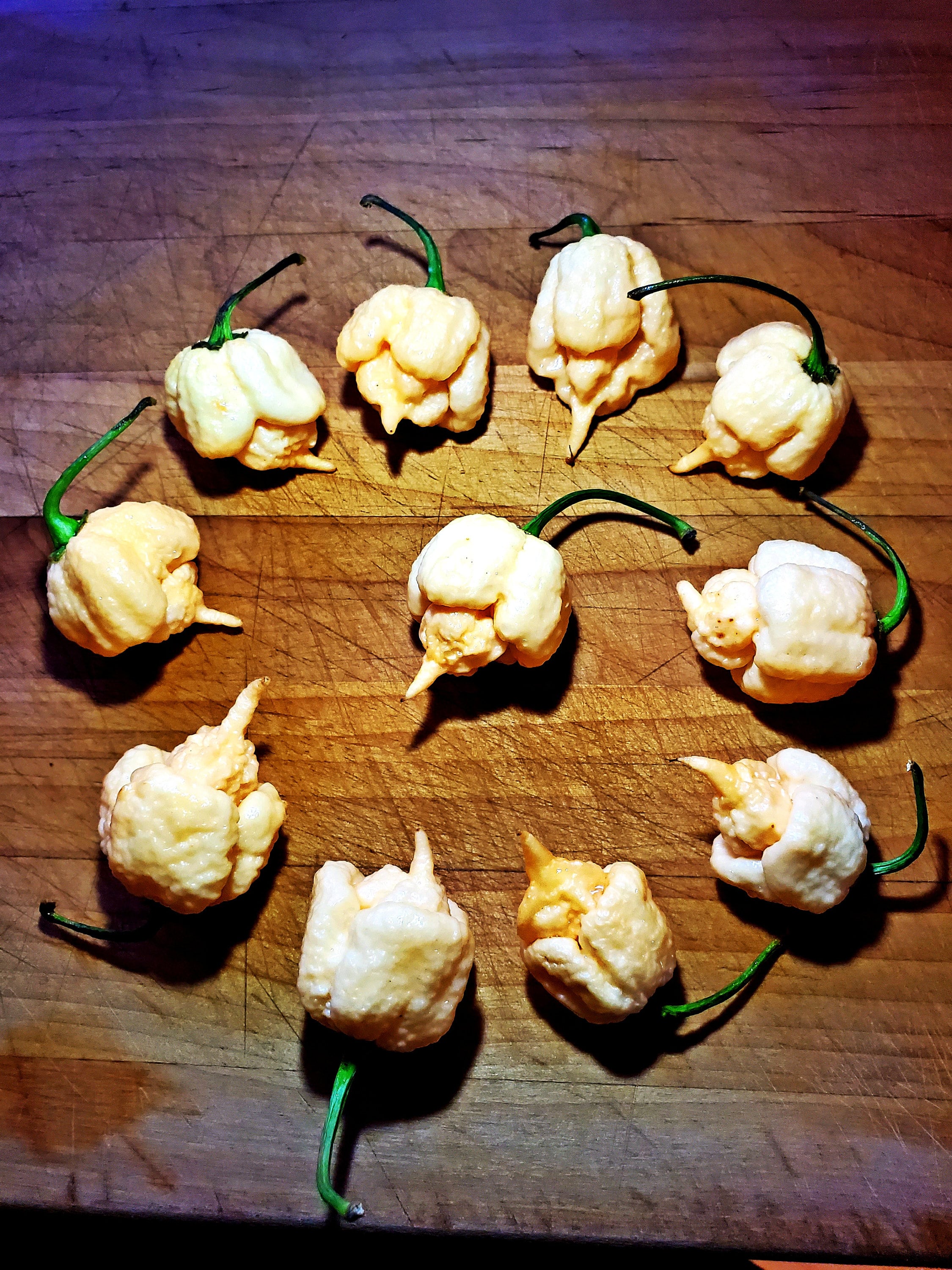 Freshly Pickled Super Hot Peppers- 2 Ingredients Only- This is the ...