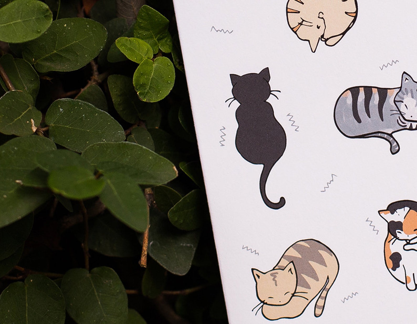 Sending You Healing Purrs Card Get Well Comfort Greeting - Etsy