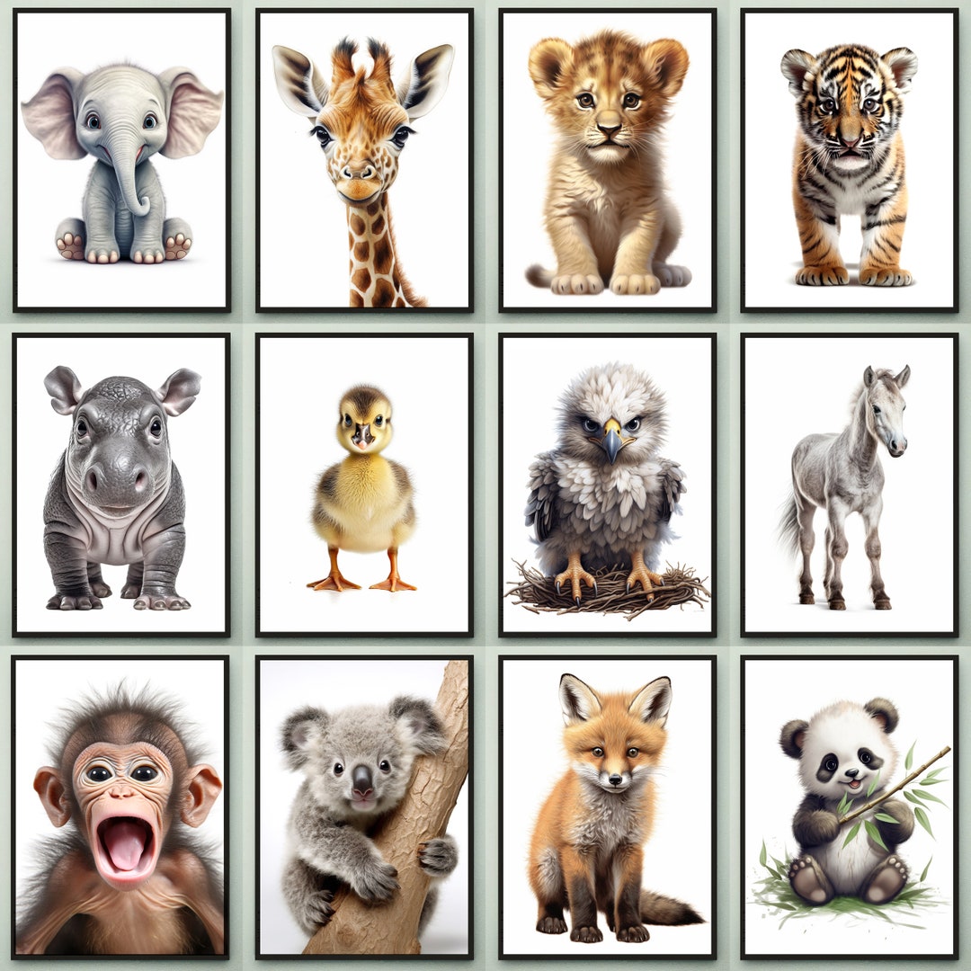 Jungle Safari Home Baby Animals Nursery Prints Pretty Cute Animal ...