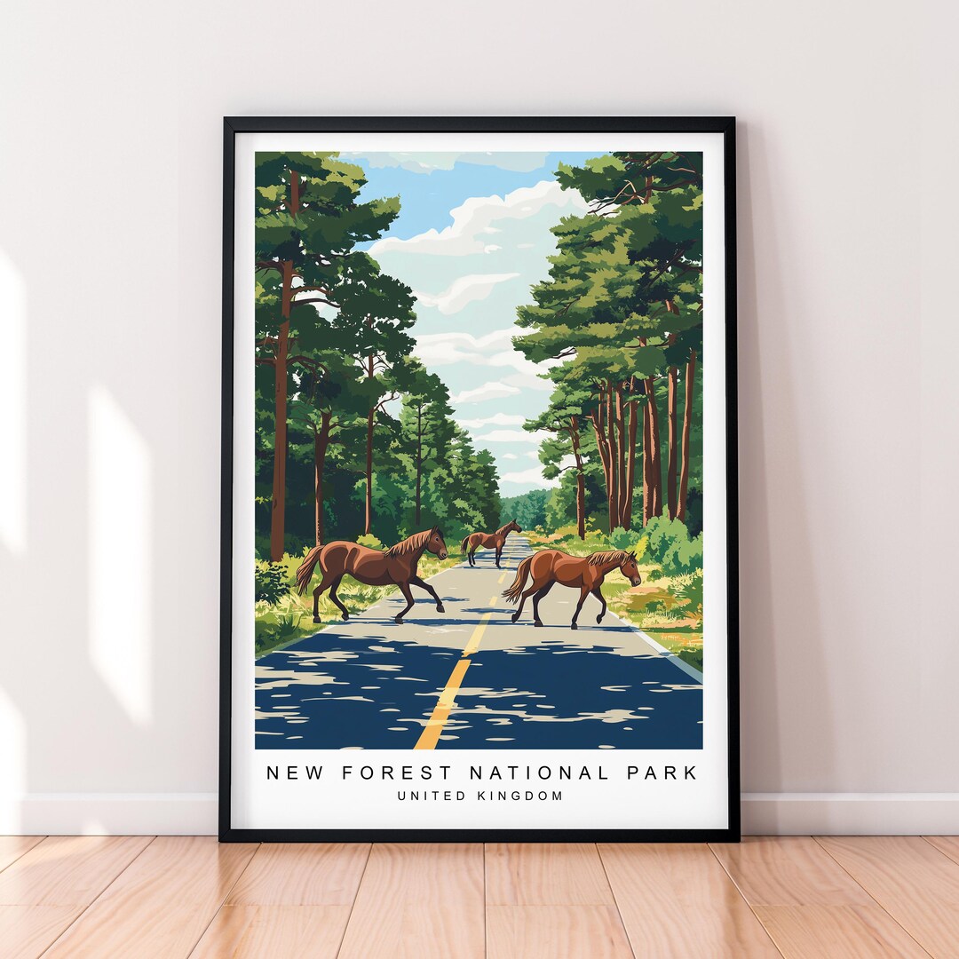 New Forest National Park Travel Art Illustration Print New Forest ...