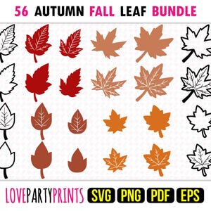Autumn Fall Leaf Bundle Svg, EPS, PNG, PDF, Halloween Thanksgiving ...