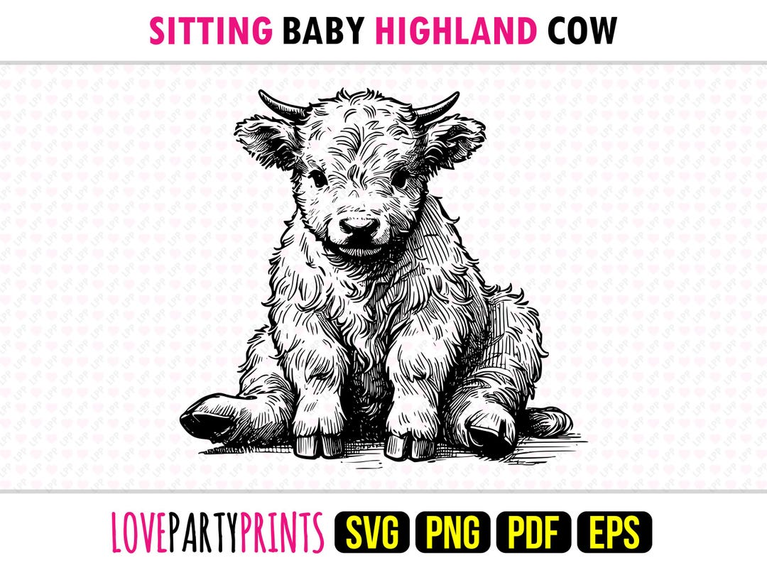 Baby Highland Cow SVG, PNG, EPS, Pdf, Line Drawn, Machine Cut Laser Cnc ...
