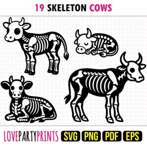 Cow Skeleton SVG Bundle, EPS, PNG, Pdf, Heifer Calf Skeletons Bones ...
