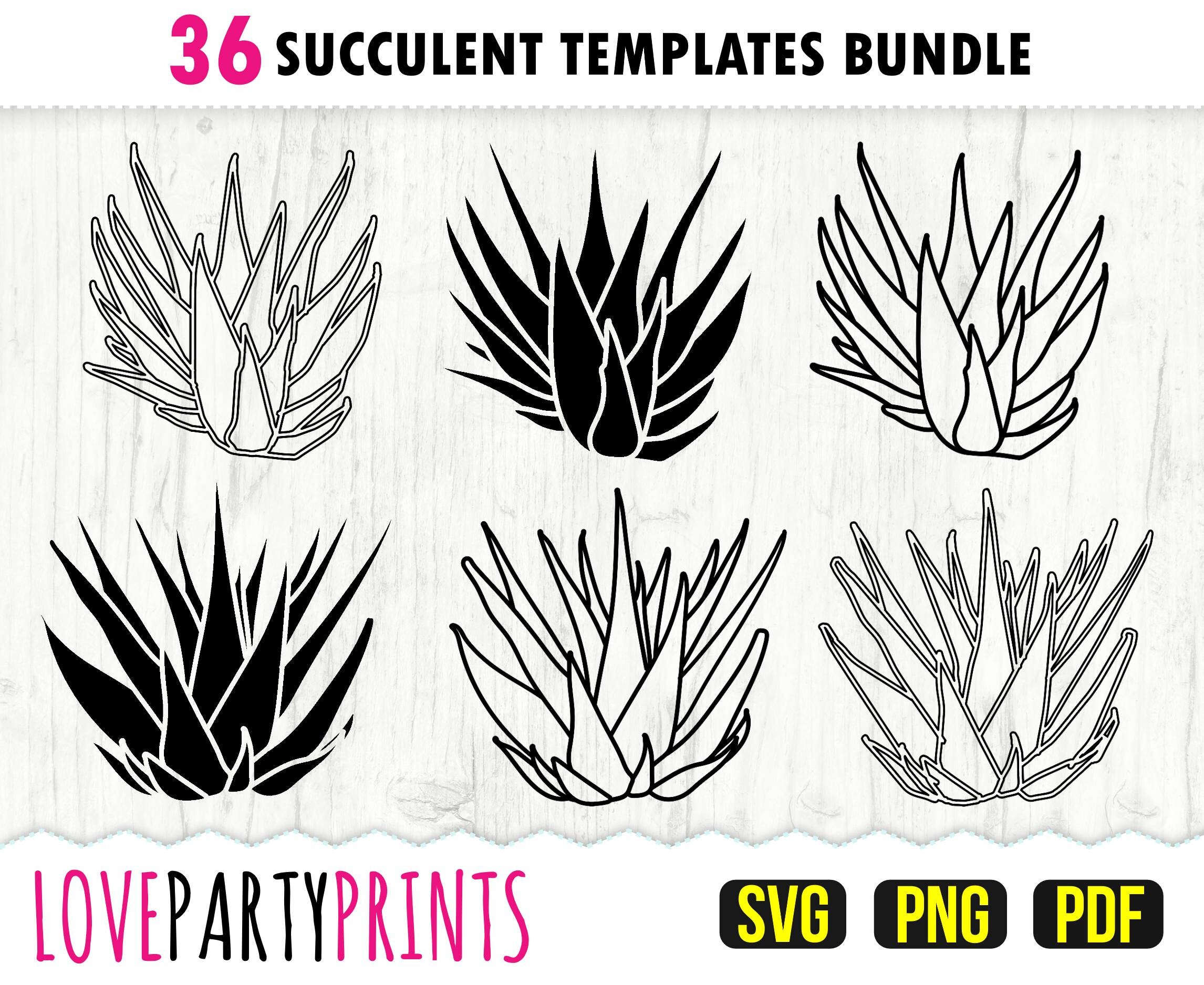 Succulent SVG Bundle, PNG, PDF, 36 Succulent Clipart, Paper Cut ...