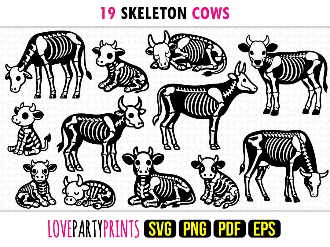 Cow Skeleton SVG Bundle, EPS, PNG, Pdf, Heifer Calf Skeletons Bones ...