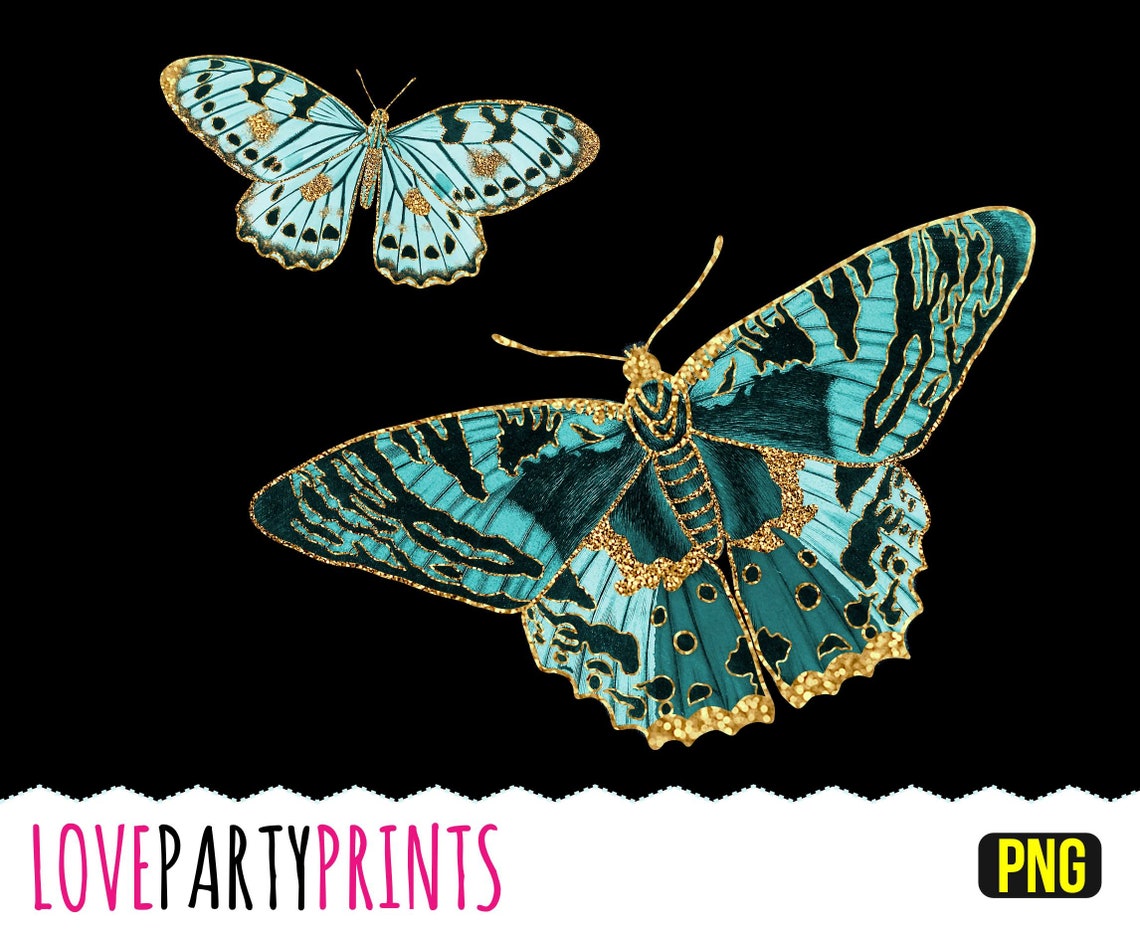 Teal Butterflies Clipart PNG Format Glitter Butterflies - Etsy