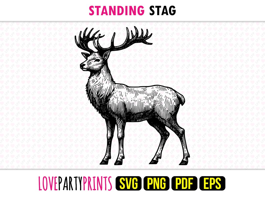 Standing Stag SVG, PNG, EPS, Pdf, Male Deer Line Drawn, Machine Cut ...