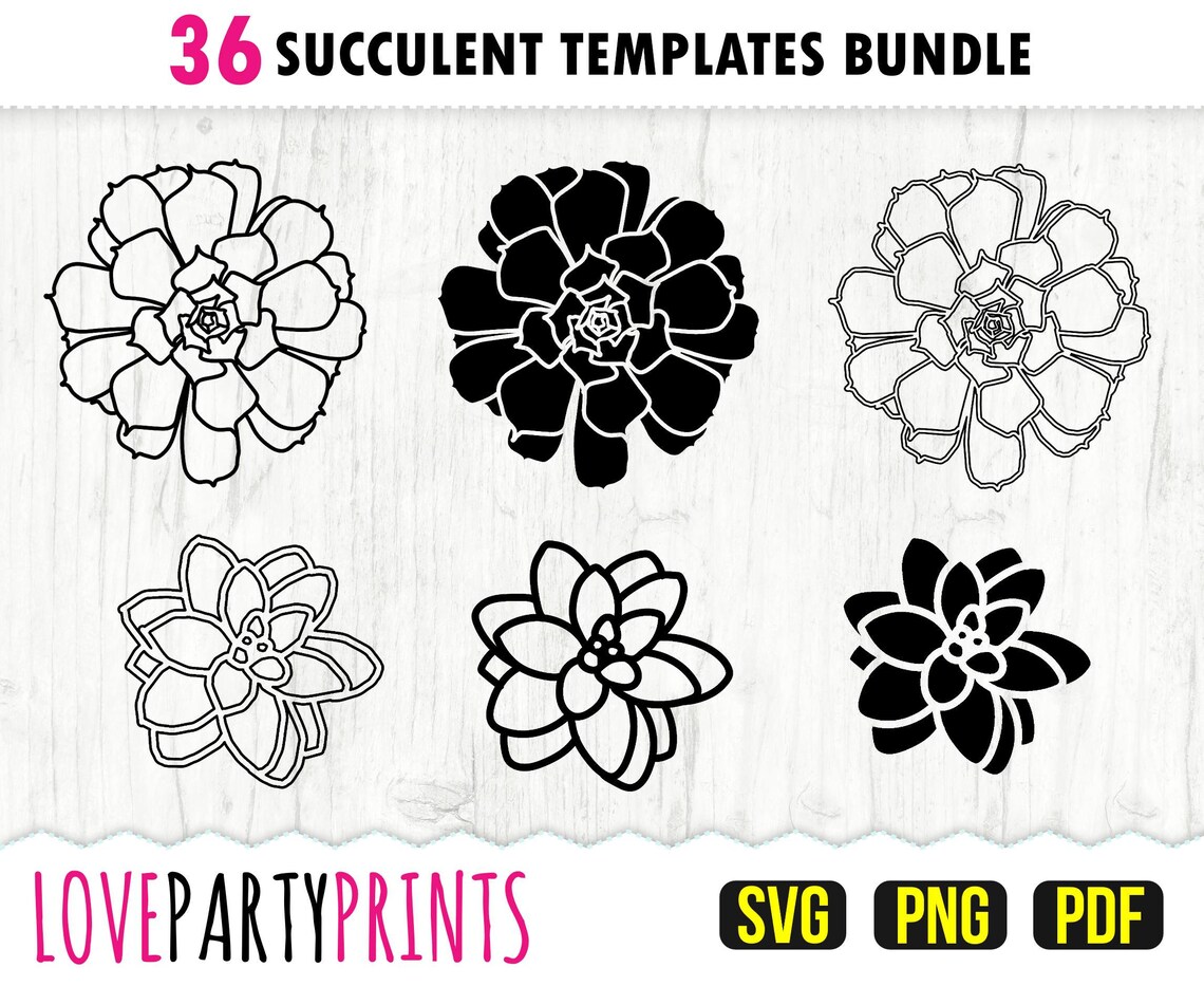 Succulent SVG Bundle PNG PDF 36 Succulent Clipart Paper - Etsy