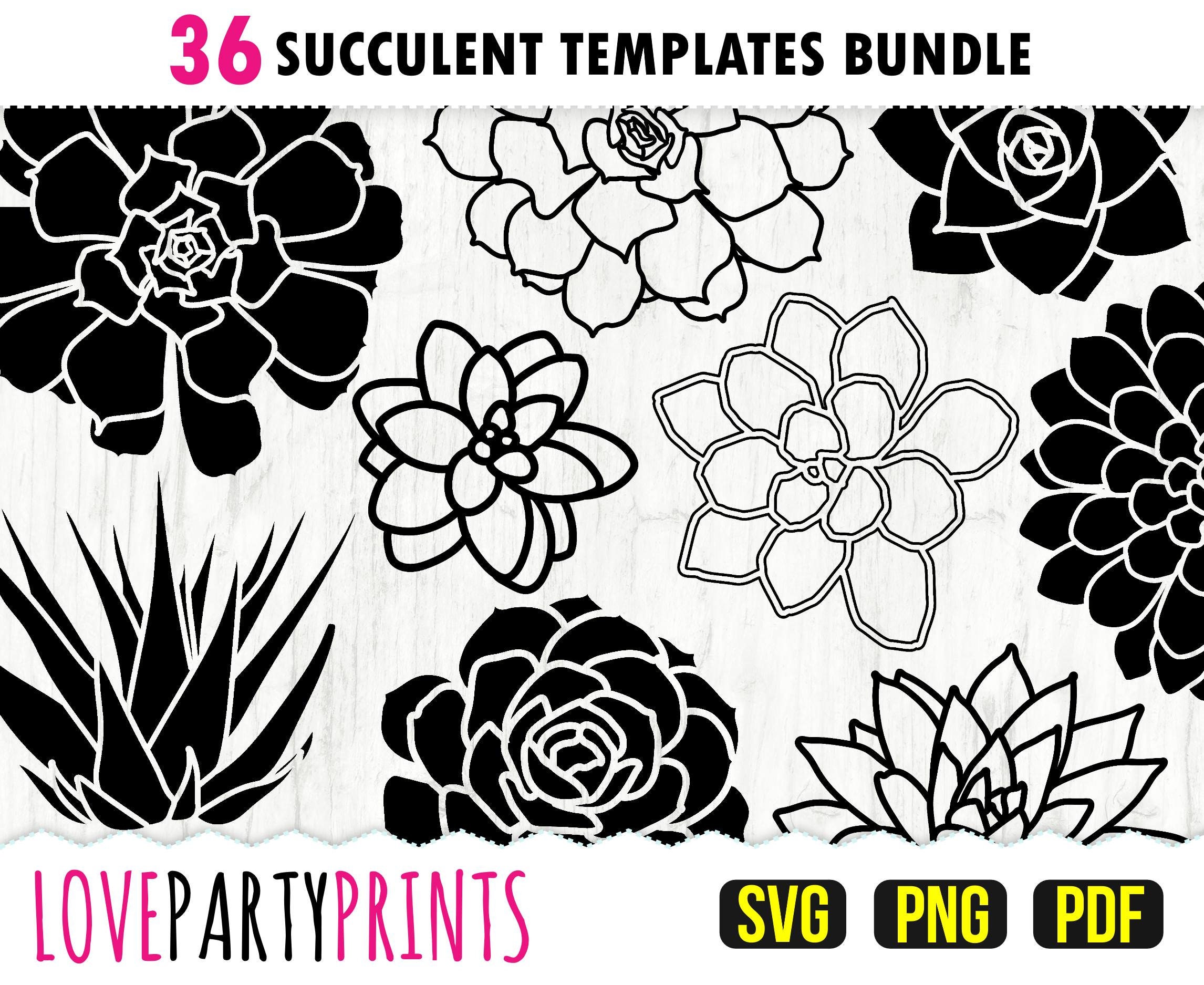 Succulent SVG Bundle PNG PDF 36 Succulent Clipart Paper - Etsy