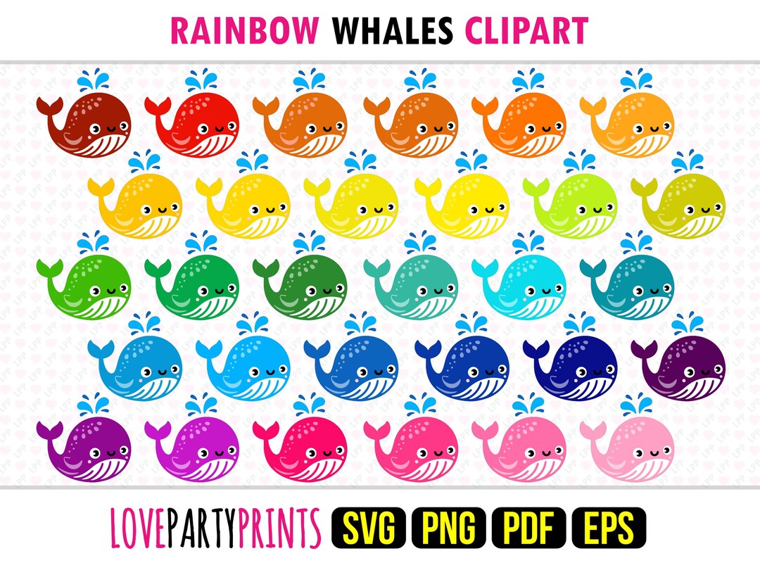 Rainbow Whale Clipart SVG, PNG EPS Pdf, 30 Templates, Cute Baby Whales ...