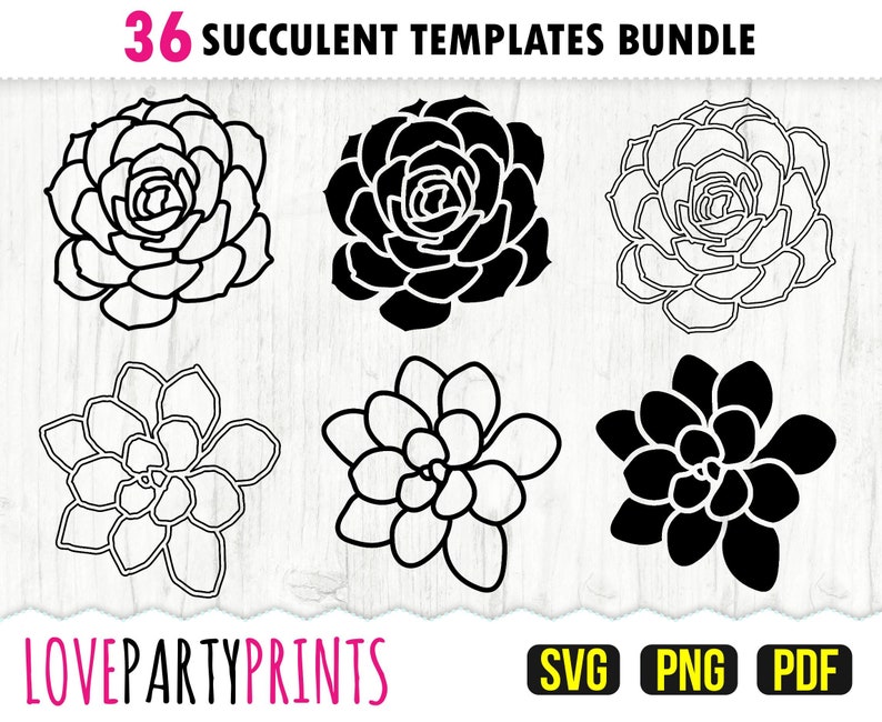 Succulent SVG Bundle, PNG, PDF, 36 Succulent Clipart, Paper Cut ...
