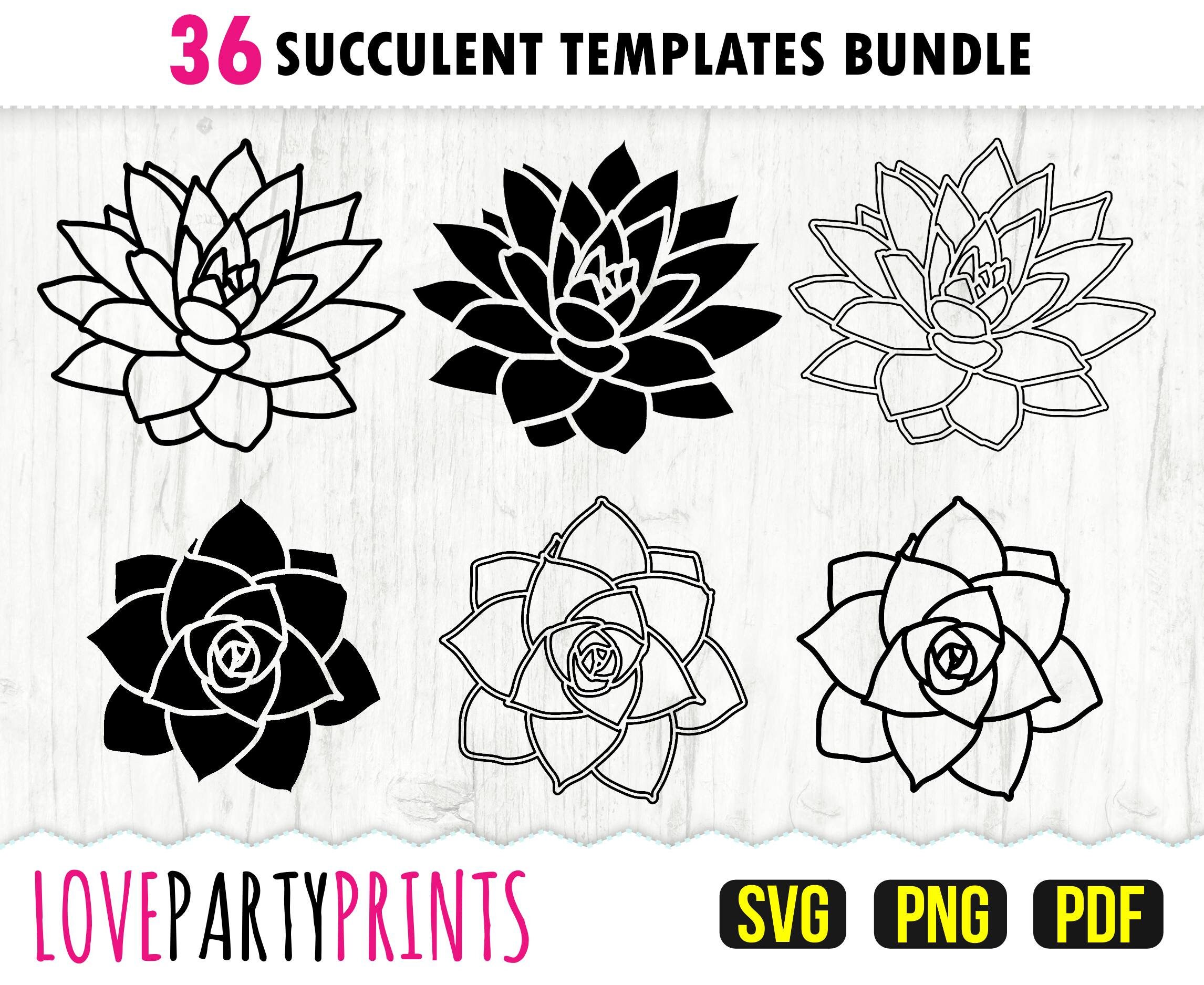 Succulent SVG Bundle PNG PDF 36 Succulent Clipart Paper - Etsy