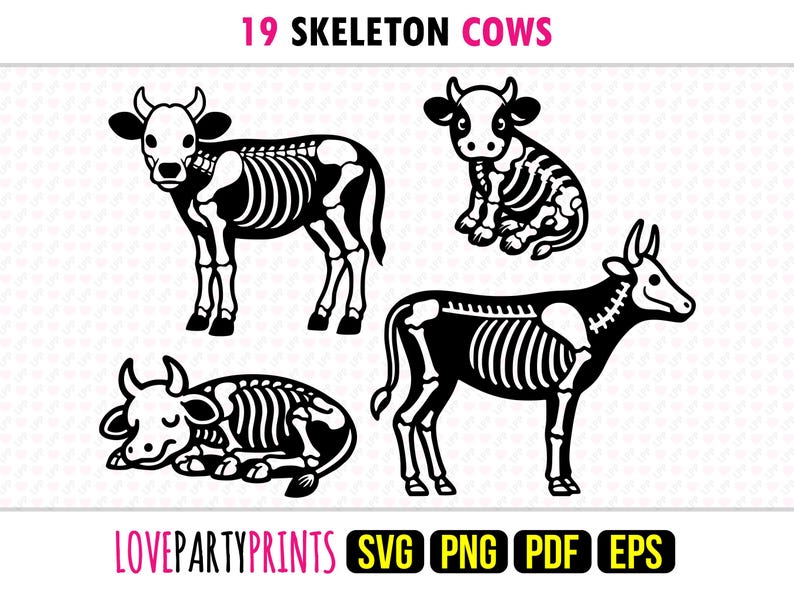Cow Skeleton SVG Bundle, EPS, PNG, Pdf, Heifer Calf Skeletons Bones ...