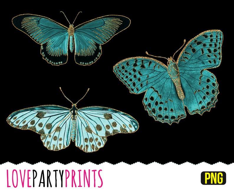 Teal Butterflies Clipart PNG Format Glitter Butterflies - Etsy