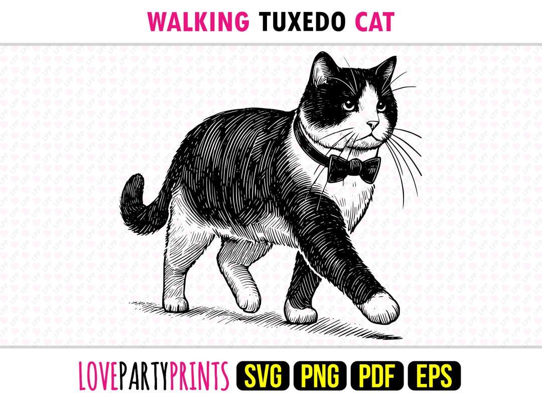 Walking Tuxedo Cat SVG, PNG, EPS, Pdf, Line Drawn, Machine Cut Laser ...