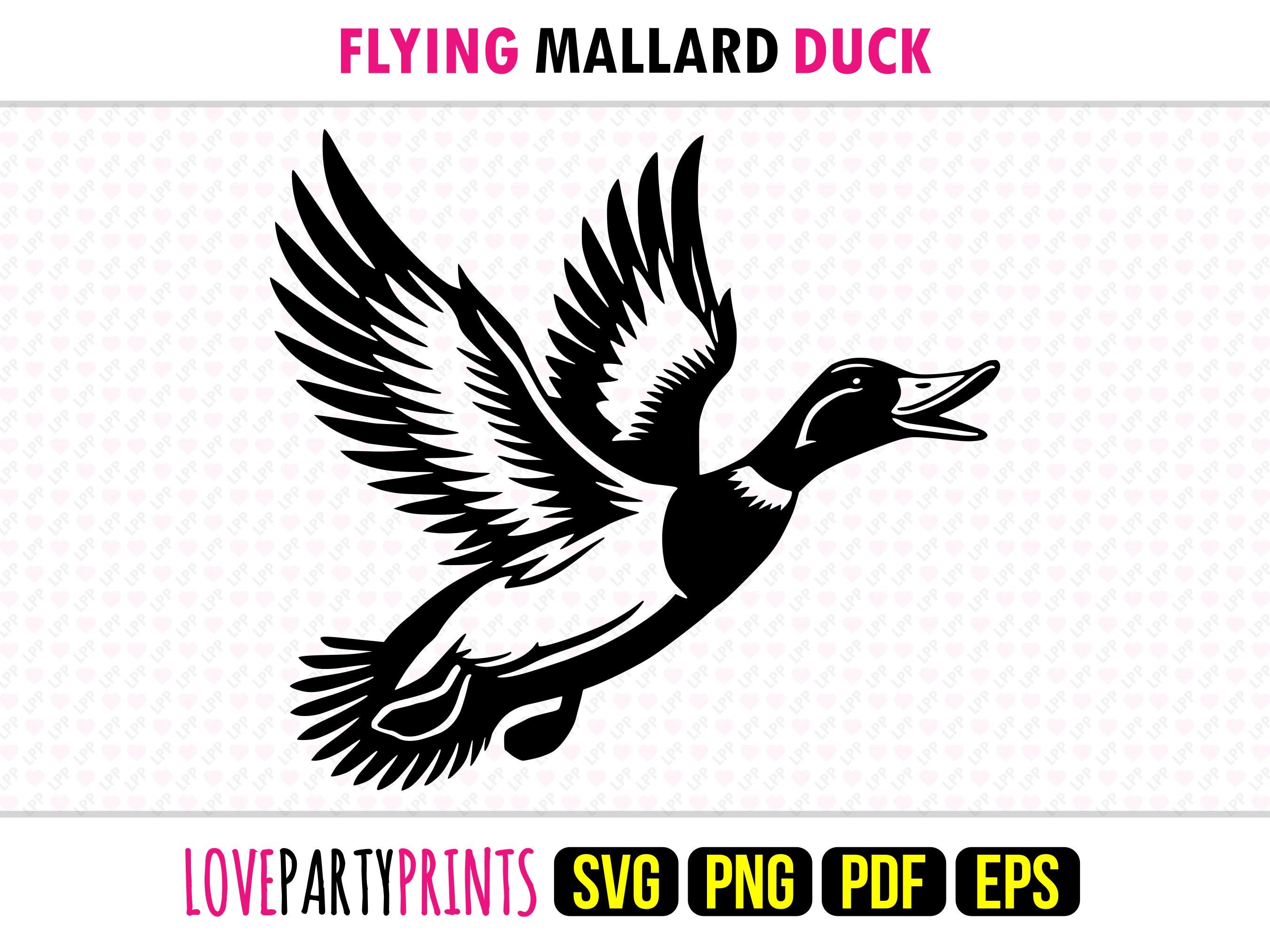 Flying Mallard Duck SVG, PNG, EPS, Pdf, Bird Silhouette, Machine Cut ...