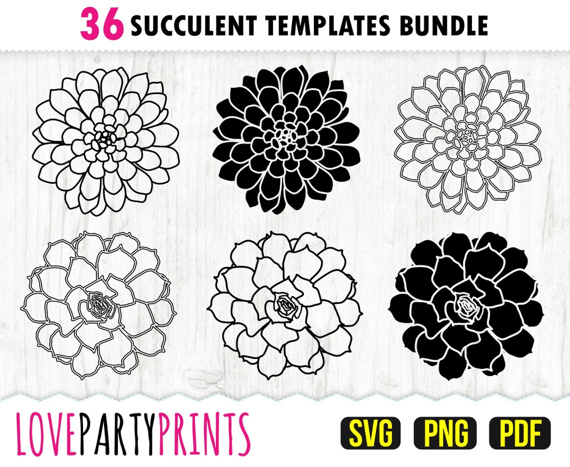 Succulent SVG Bundle, PNG, PDF, 36 Succulent Clipart, Paper Cut ...
