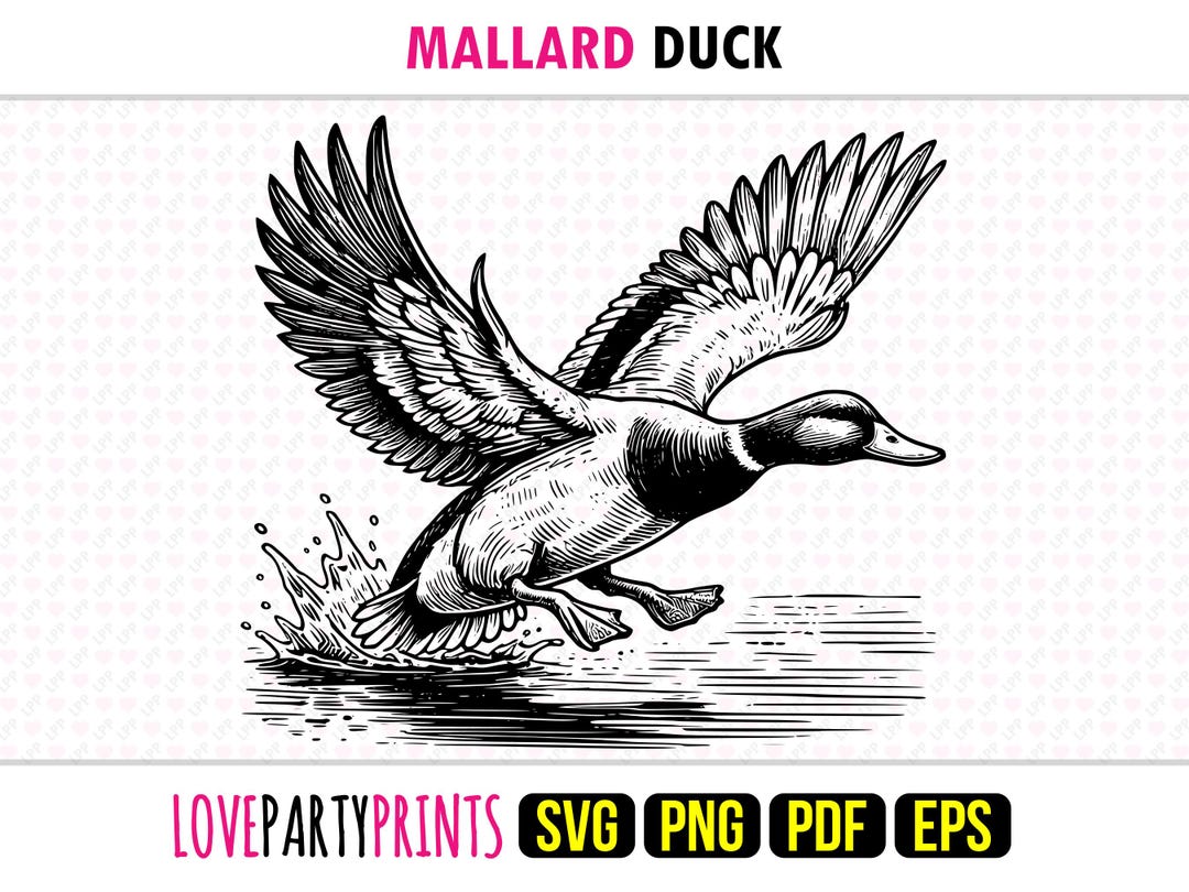 Mallard Duck SVG, PNG, EPS, Pdf, Silhouette Line Art, Machine Cut Laser ...