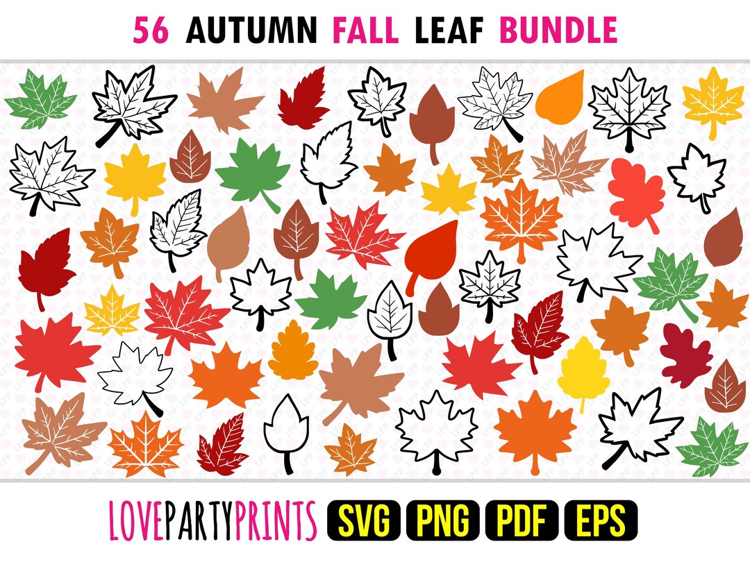 Autumn Fall Leaf Bundle Svg, EPS, PNG, PDF, Halloween Thanksgiving ...