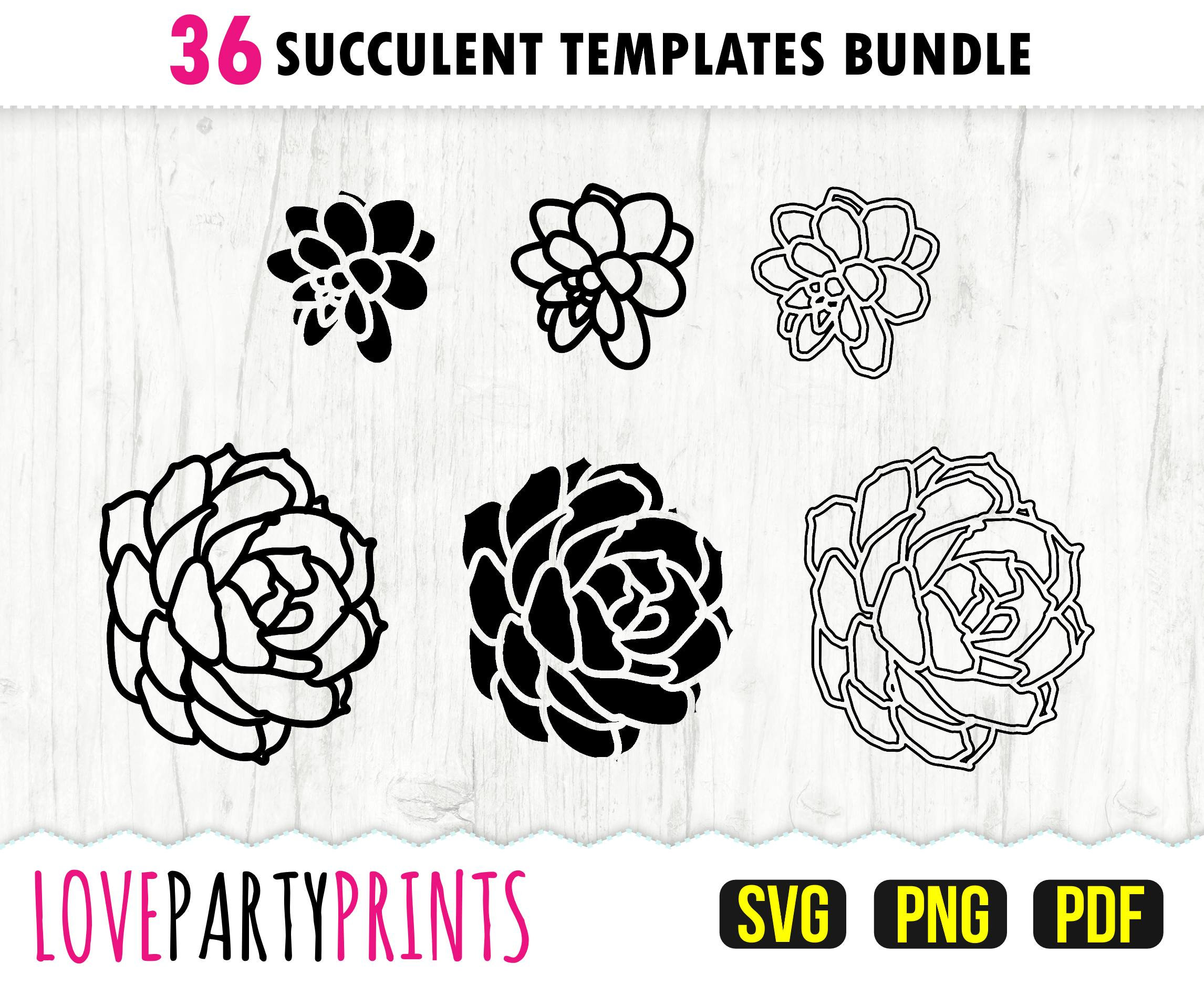 Succulent SVG Bundle PNG PDF 36 Succulent Clipart Paper - Etsy