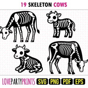 Cow Skeleton SVG Bundle, EPS, PNG, Pdf, Heifer Calf Skeletons Bones ...